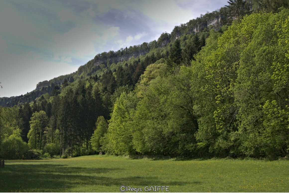 Le Surmont … - Voyages et Aventures - S'exprimer