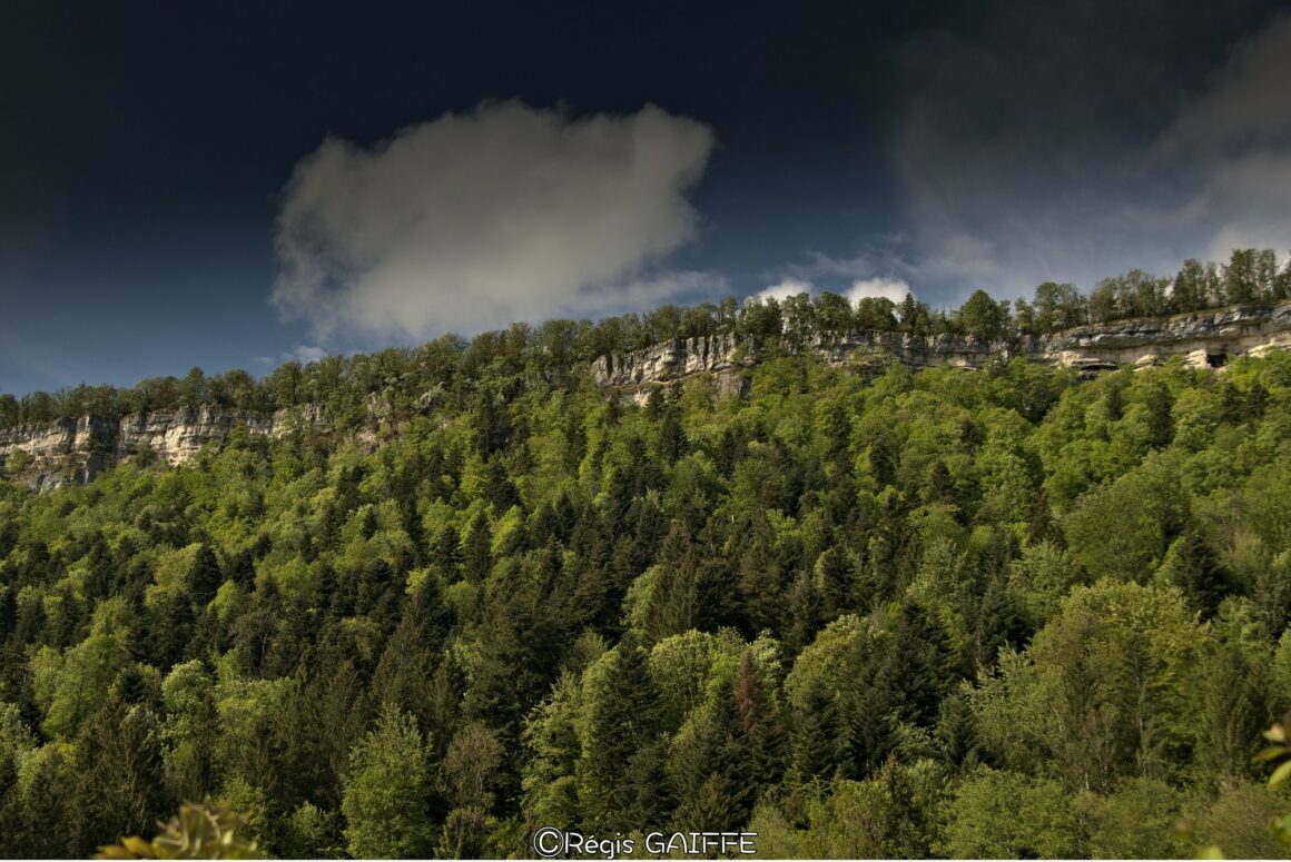 Le Surmont … - Voyages et Aventures - S'exprimer