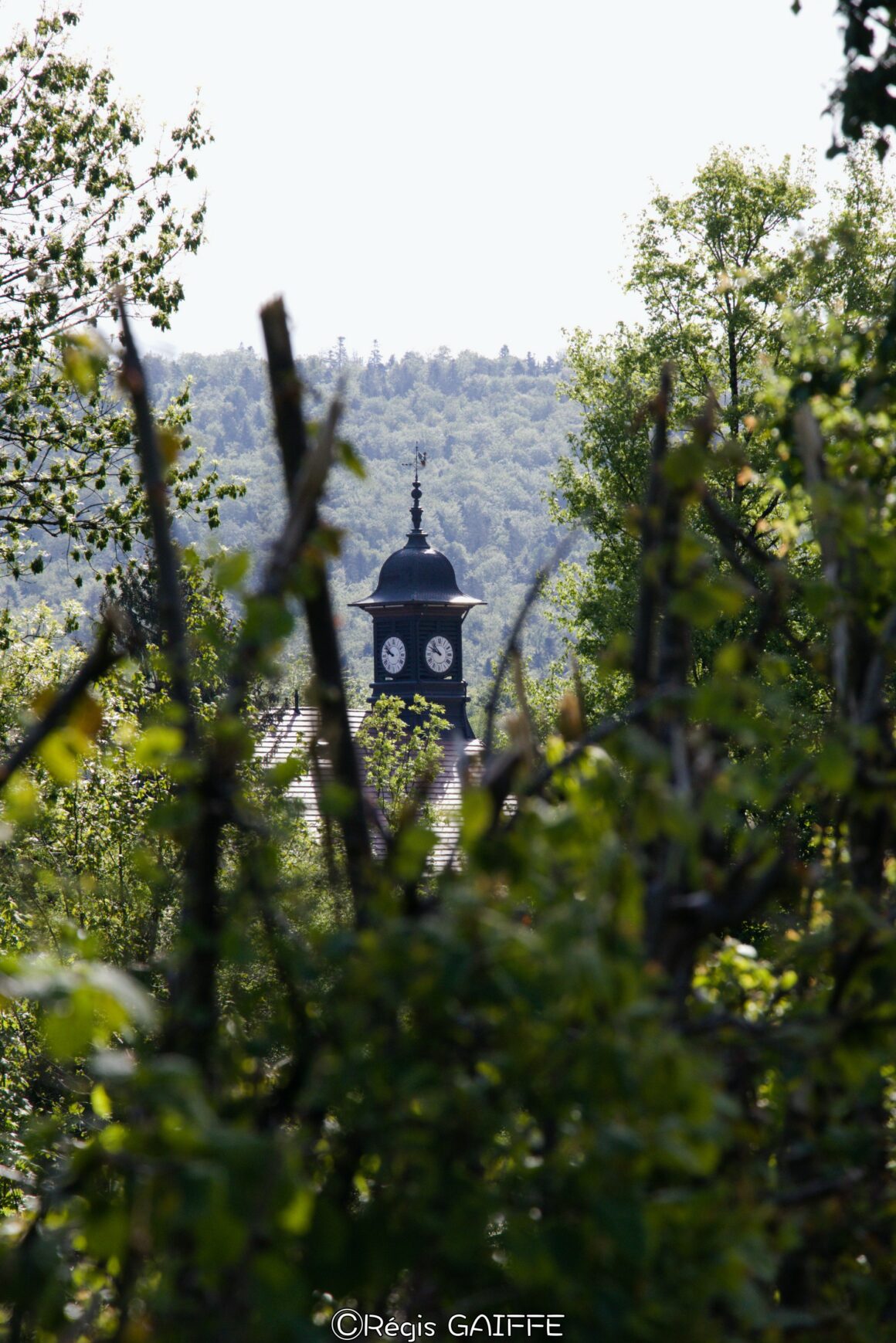 Le Surmont … - Voyages et Aventures - S'exprimer